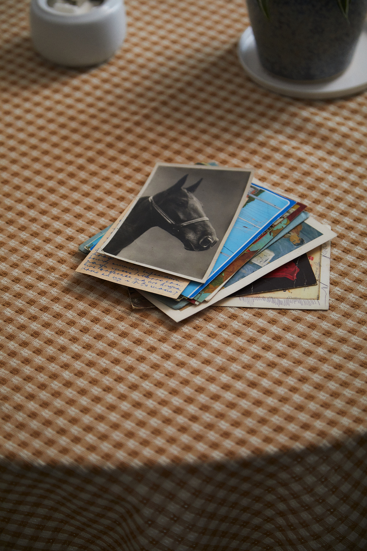 Arlo Parks - Weightless - sophie williams Arlo Parks - Weightless - sophie williams